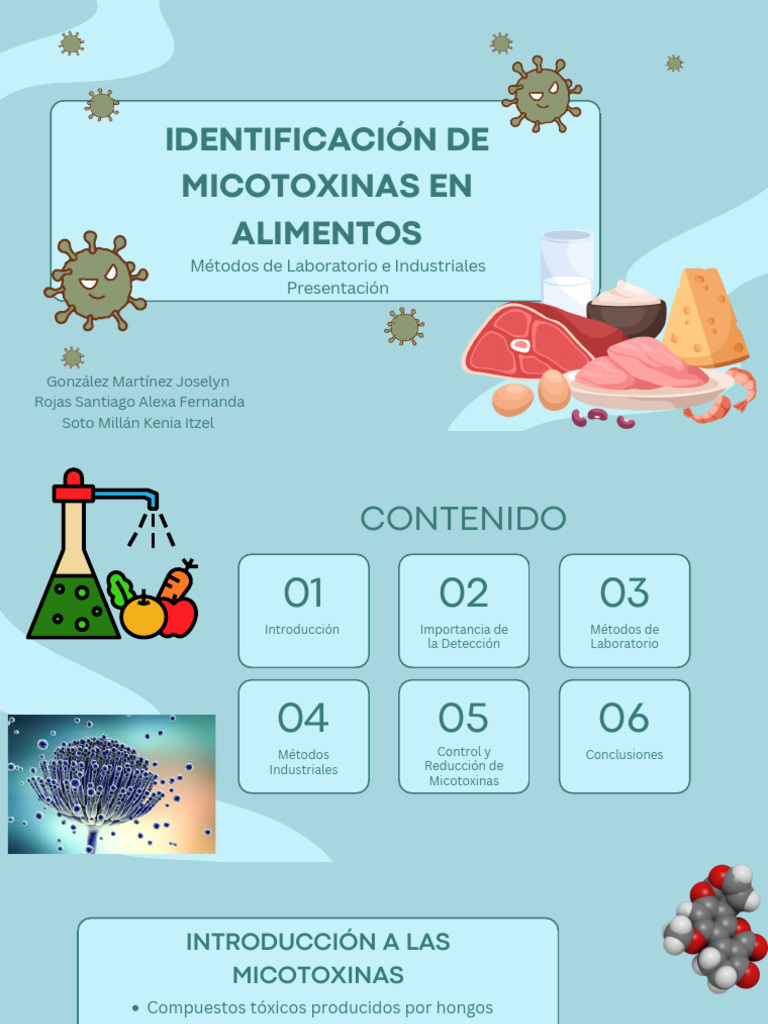 Identificacion de Micotoxinas en Alimentos | PDF | Micotoxinas