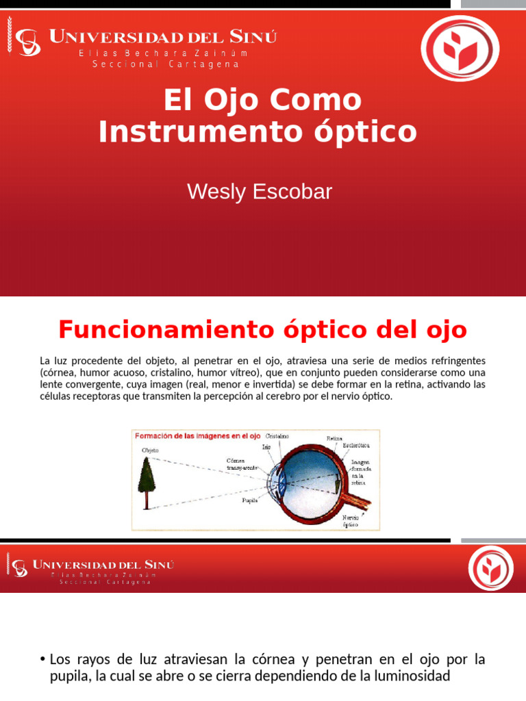 Funcionamiento Óptico del Ojo Humano | PDF | Ojo humano | Óptica