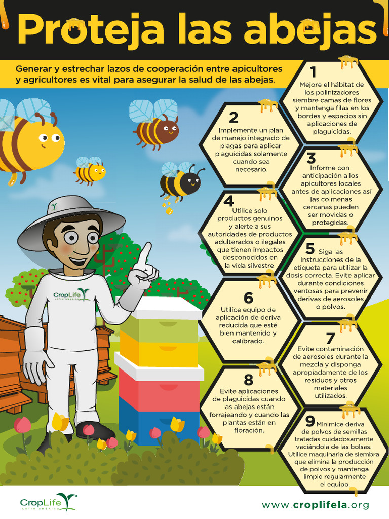 Proteja Las Abejas | PDF