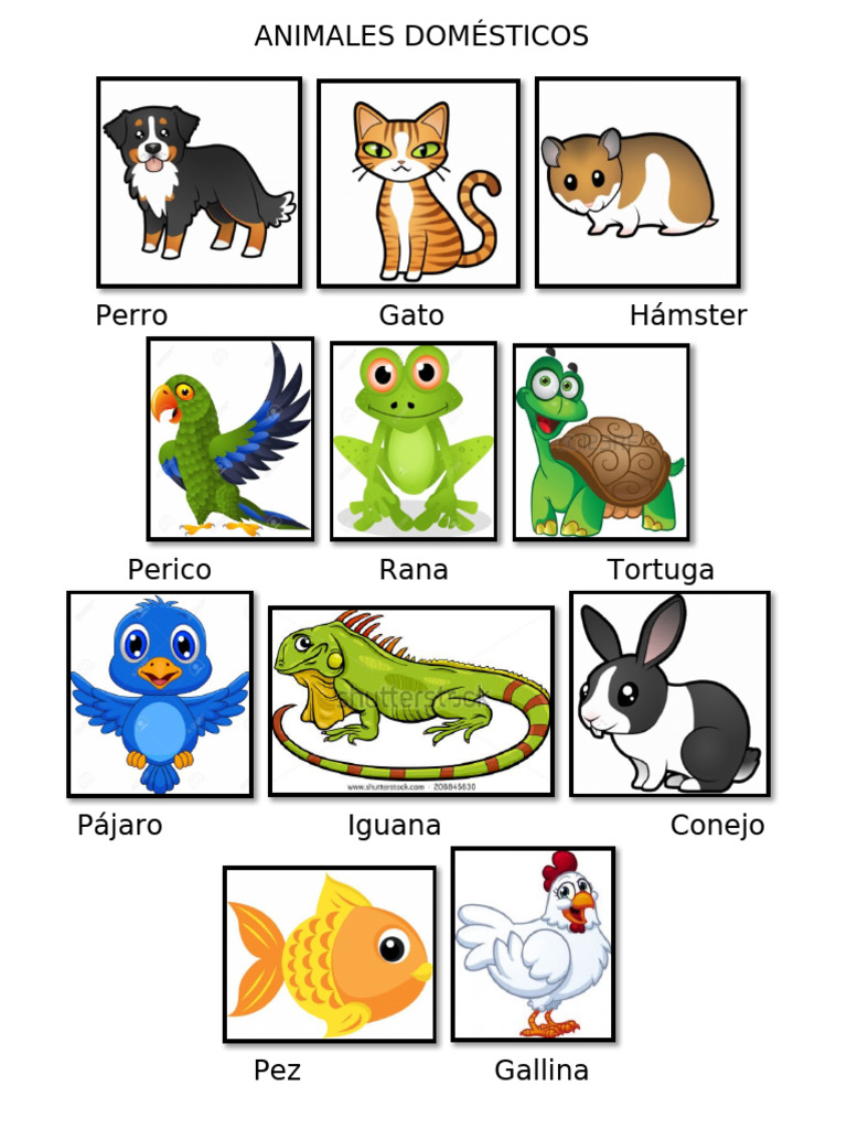 Campos Semanticos | PDF