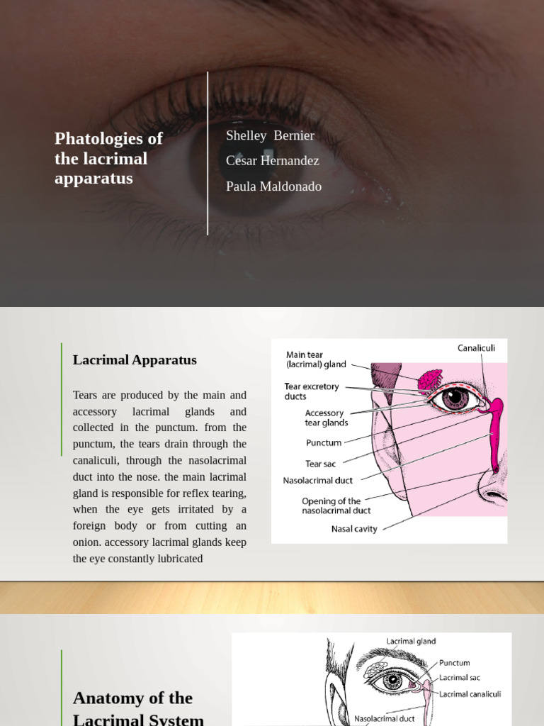patologias de la lagrima | PDF | Medical Specialties | Diseases And Disorders
