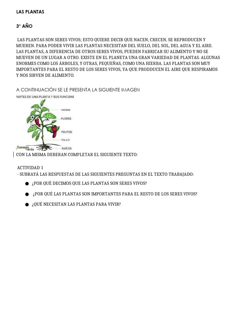 Importancia y cambios en las plantas | PDF | Arboles | Plantas