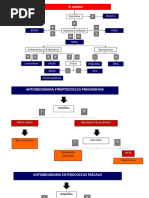 Tablas Antibiograma CLSI 2024 | PDF | Biocidas | Microbiología