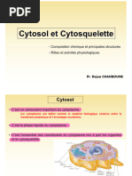 23 - Physiologie Des Fosses Nasales Et Des Sinus | PDF | Épithélium ...