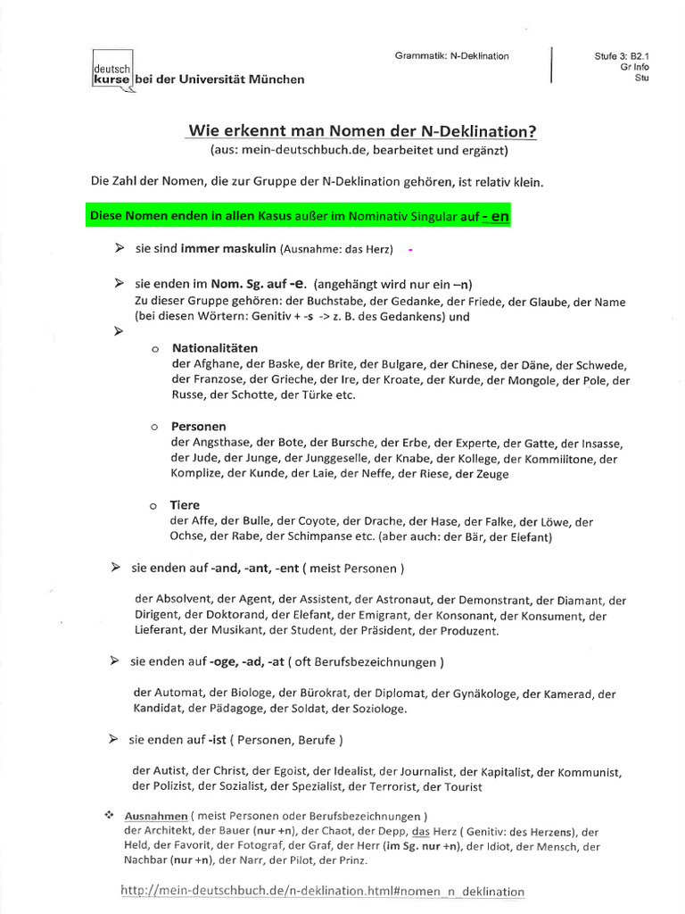 b2.1 Gr8 N-Deklination Info3 Bearbeitet | PDF