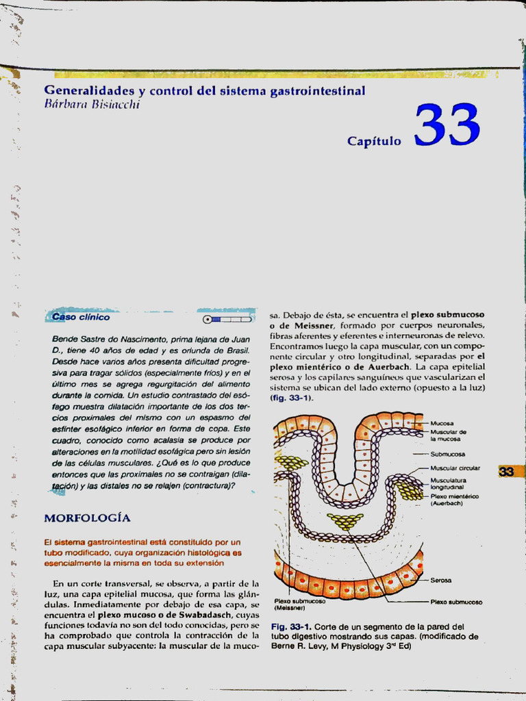 Best Taylor Capitulo 33 | PDF