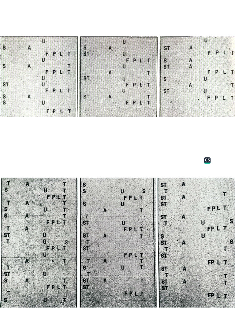 Steno Machine Shorthand | PDF