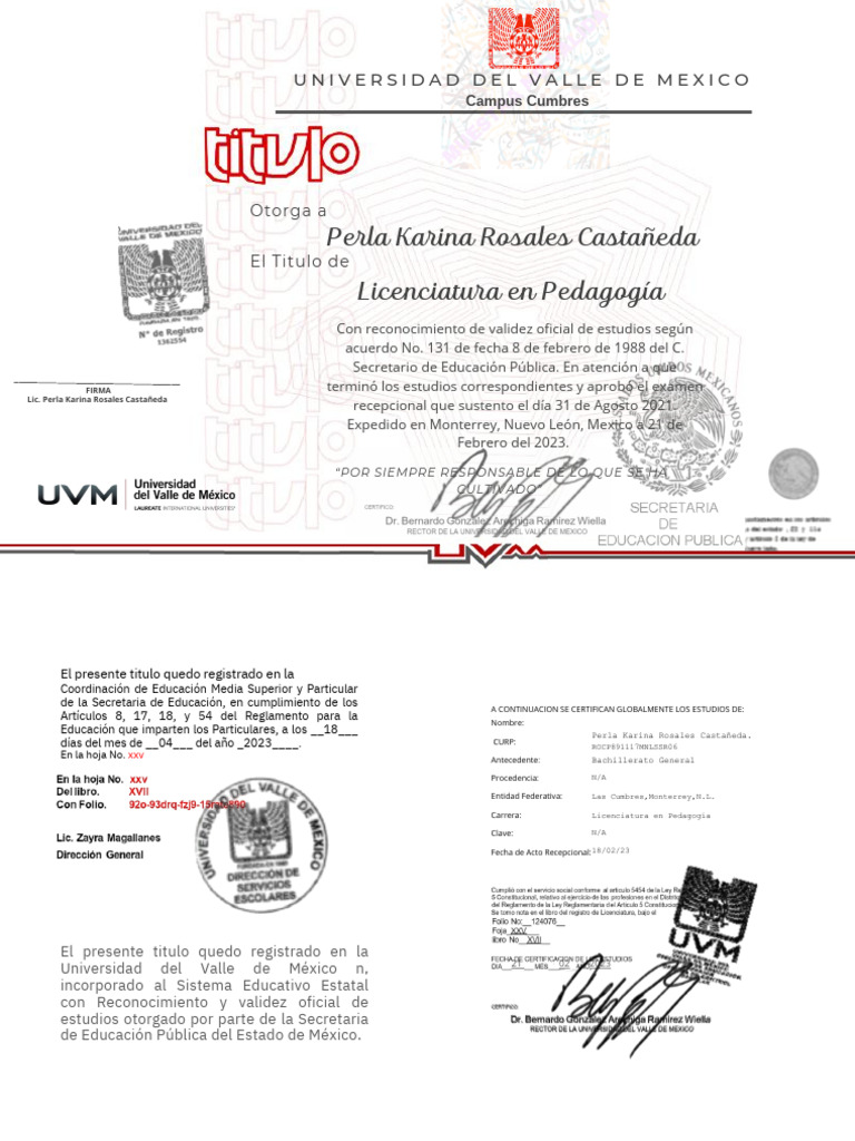 Titulo-Uvm 20250310 152515 0000 | PDF