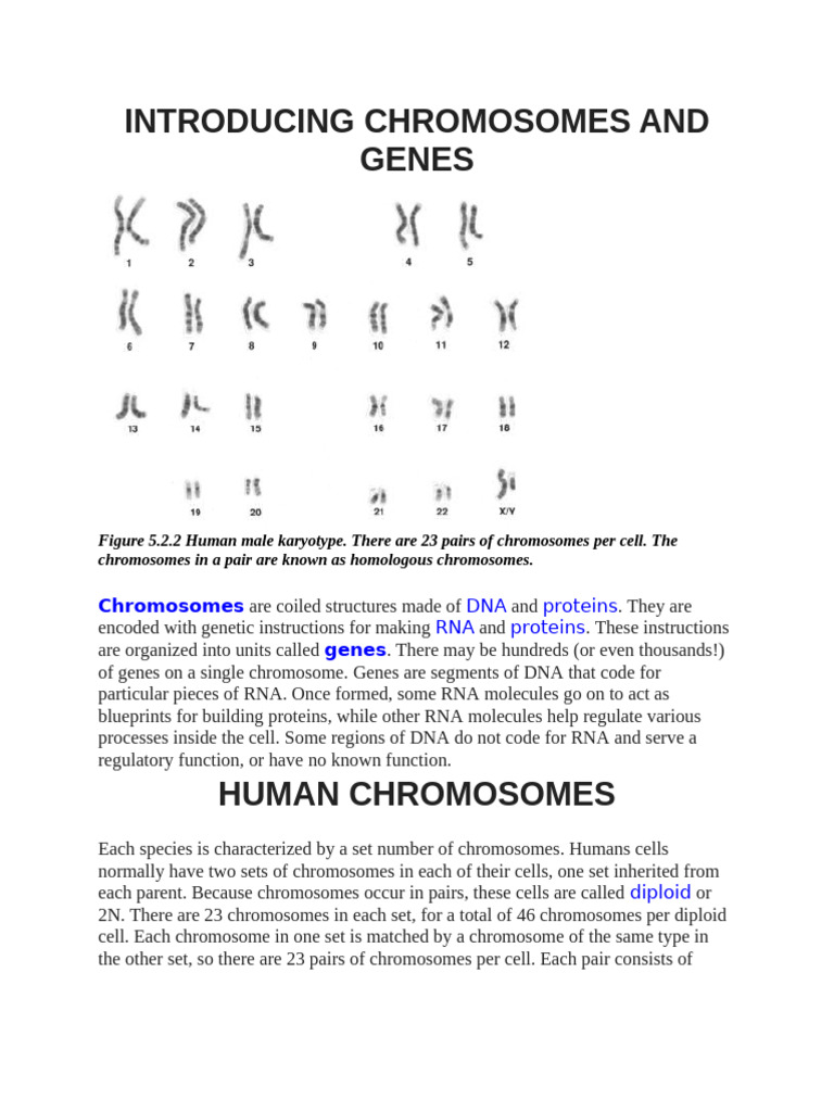 Understanding Human Chromosomes and Genes | PDF | Dna Sequencing | Dna ...