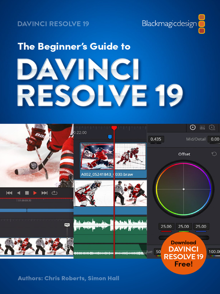 DaVinci Resolve 19 - Beginners Guide | PDF | Computer File | Computing