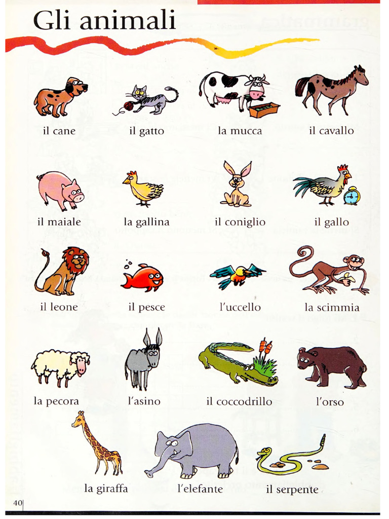 Gli Animali | PDF