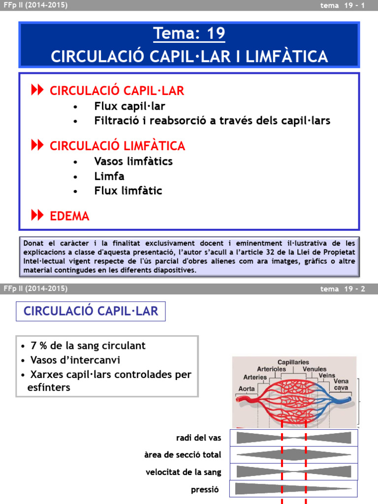 Tema 19. - Circulació Capil Lar I Limfàtica | PDF