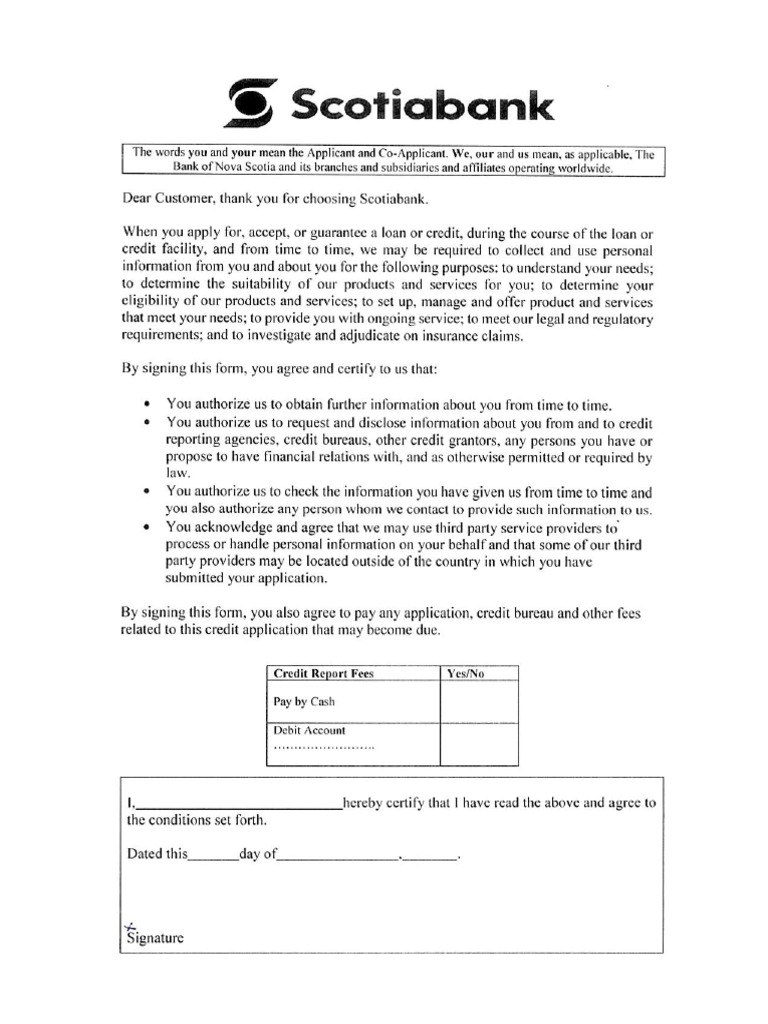 Pre Application Consent | PDF