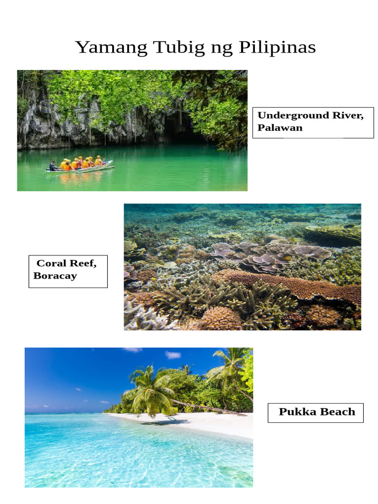 Yamang Tubig at Lupa ng Pilipinas | PDF