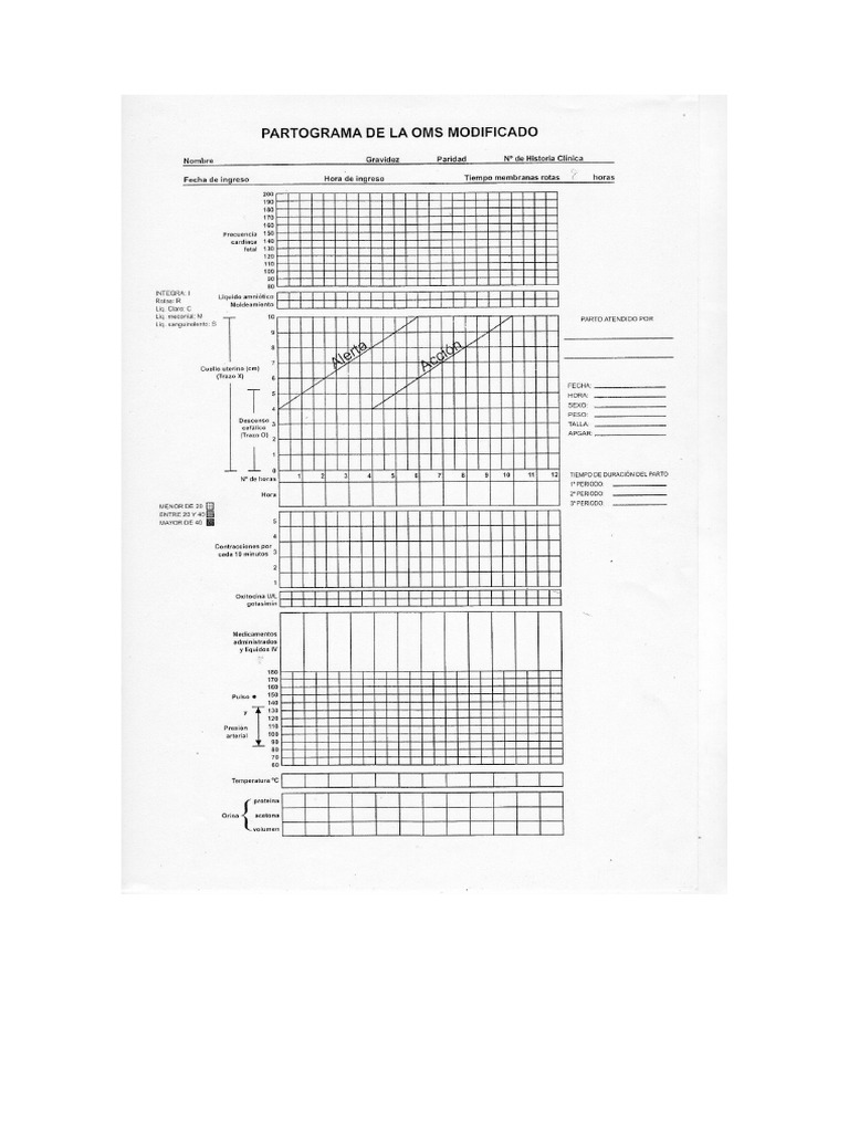 Formato de partograma | PDF