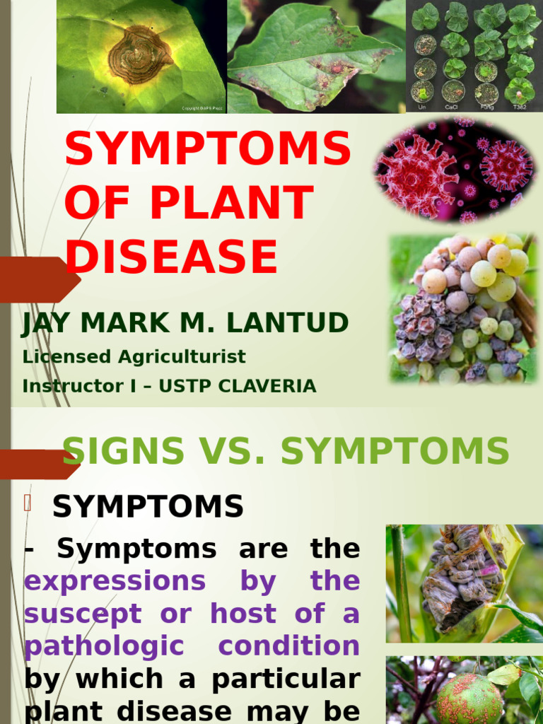 II. Signs and Symptoms of Plant Diseases | PDF | Leaf | Plants