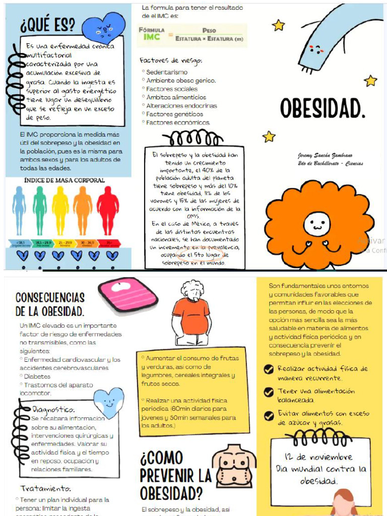 Triptico Obesidad | PDF