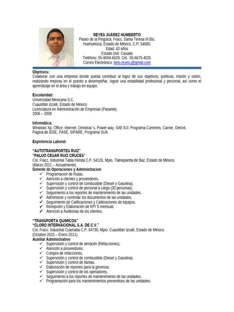 CV Reyes Juárez Humberto | PDF