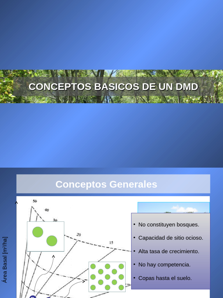 Conceptos Basicos de Un DMD | PDF