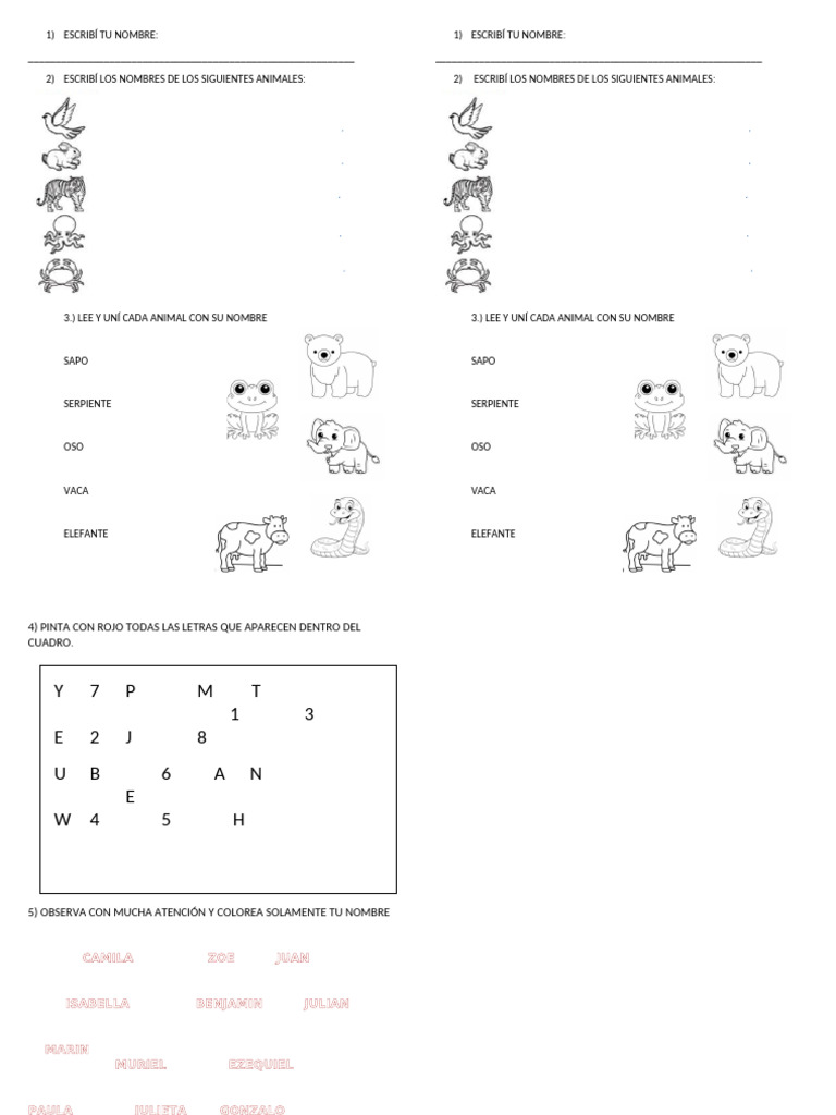 Diagnostico Primero Lengua | PDF