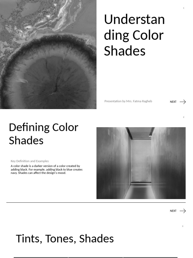 Understanding Color Shades | PDF | Color | Brand