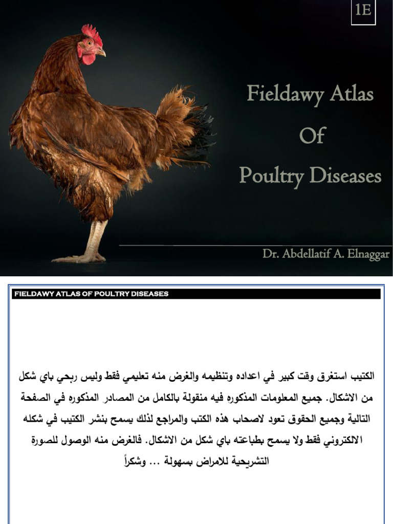 Poultry Diseases: Slipped Tendon & Hemorrhage | PDF | Vaccines | Immunology