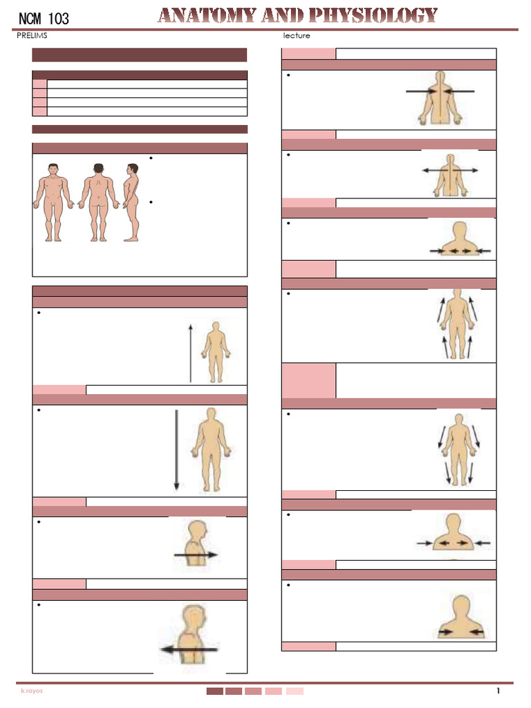 Anaphy-2. Language of Anatomy | PDF | Anatomical Terms Of Location | Hip