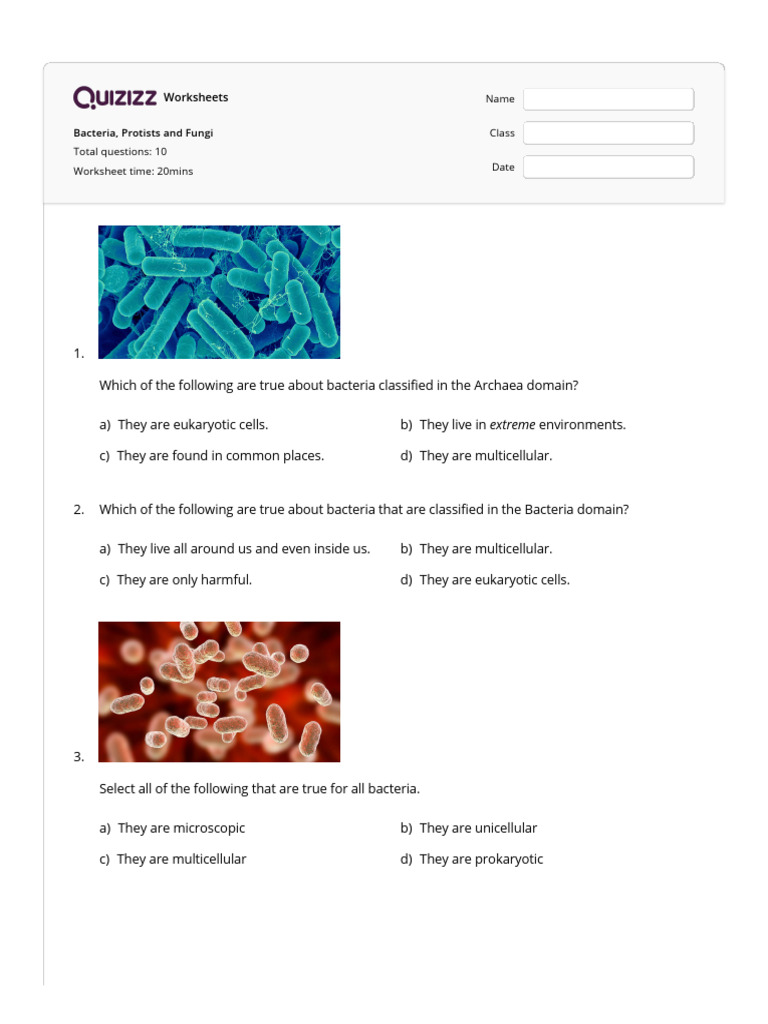 Bacteria Protists and Fungi Quizizz | PDF | Bacteria | Eukaryotes