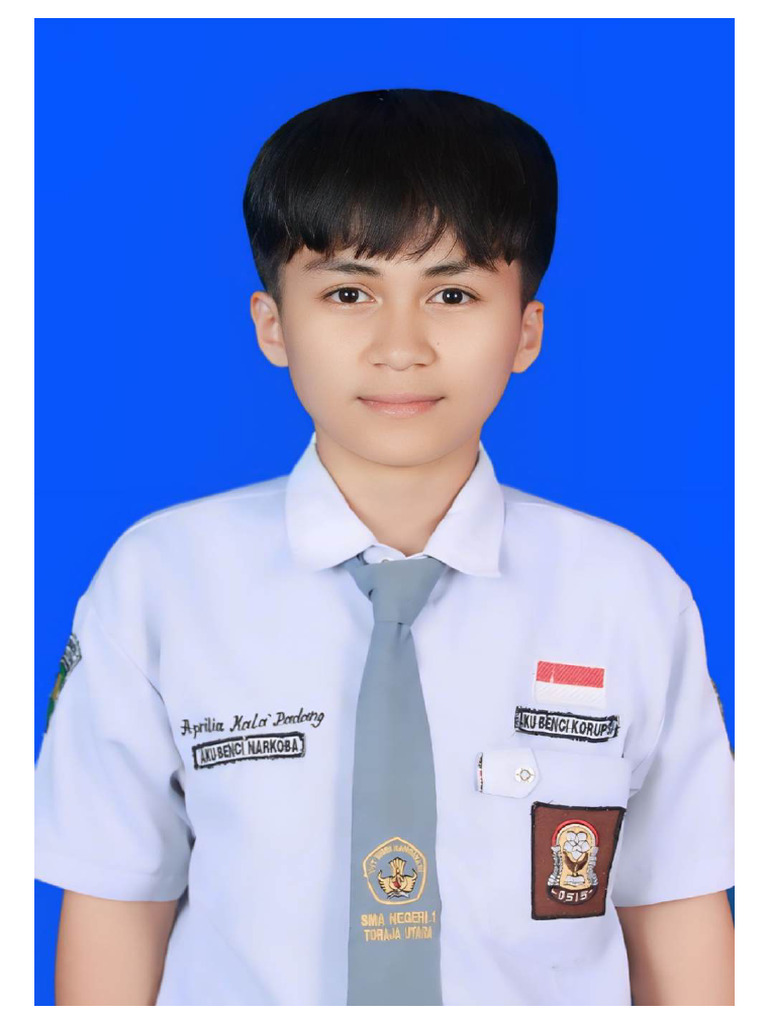 1738582001620-dikompresi | PDF