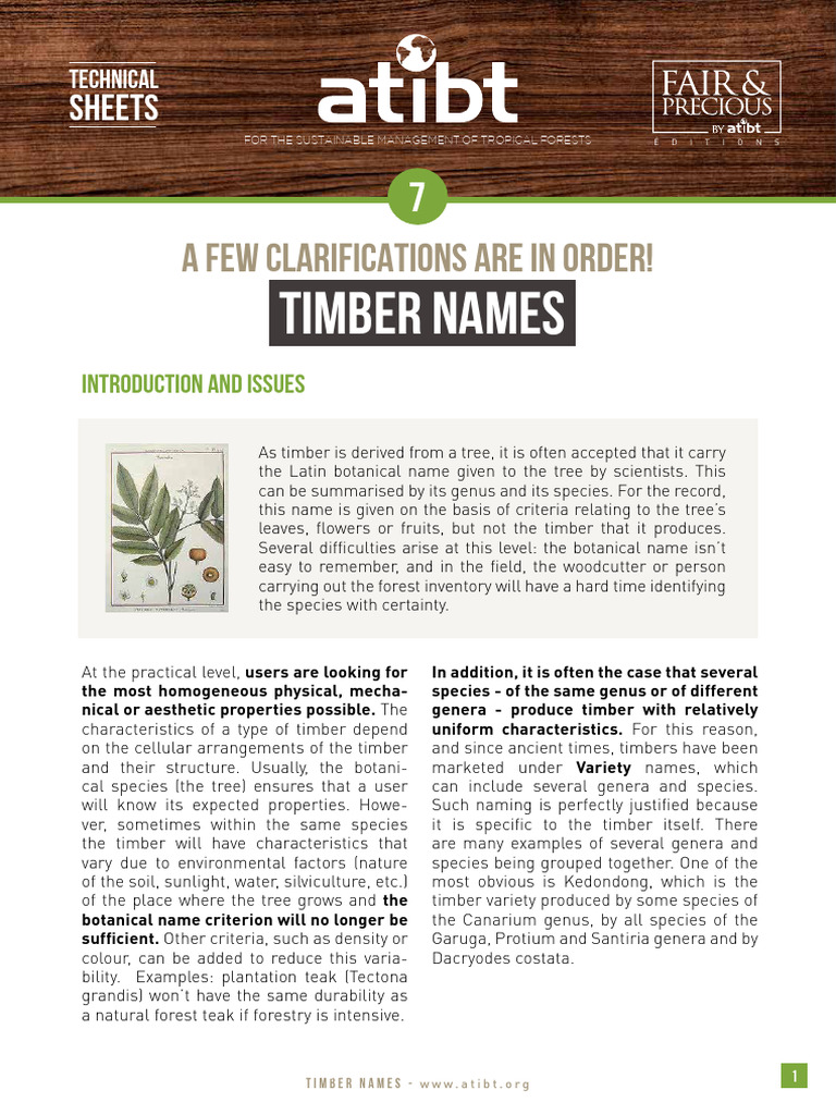 7 Timber Names | PDF | Oak | Species