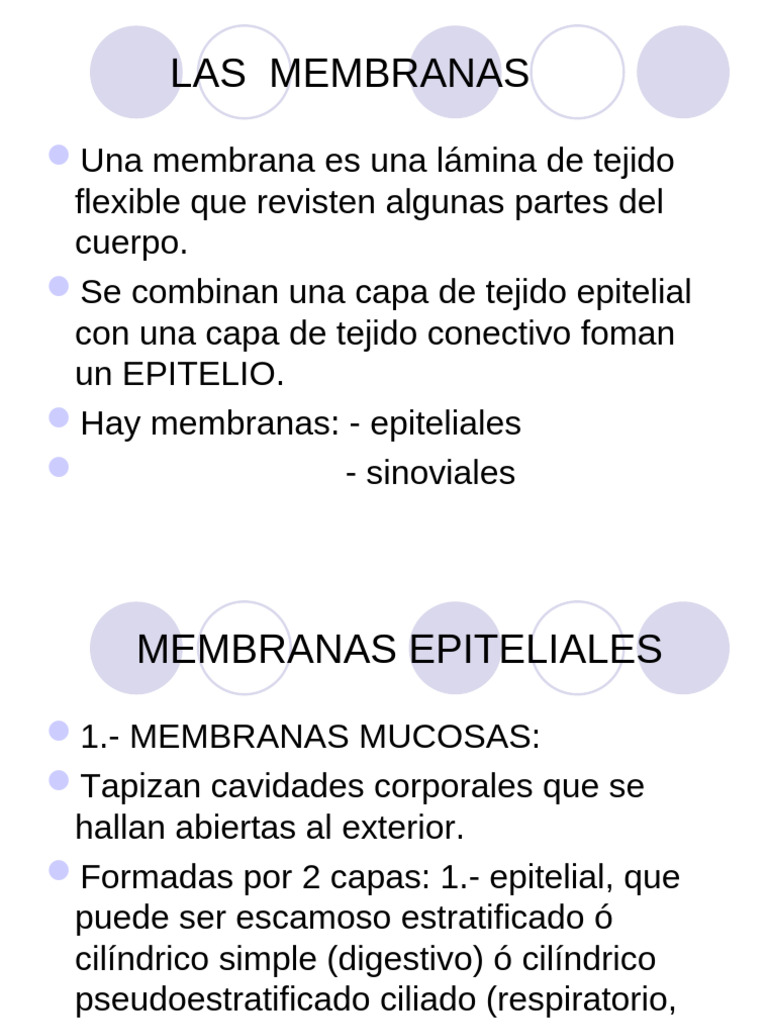 Sistema Tegumentario - (3) - (1) 2 | PDF | Epitelio | Piel