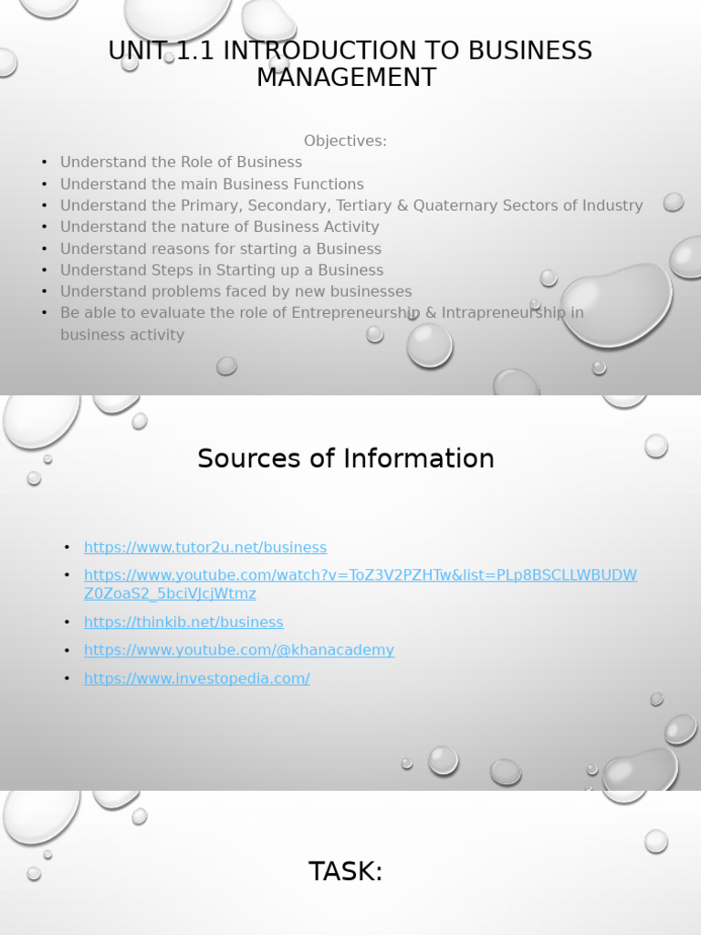 Unit 1.1 Introduction To Business Management SL IBDip BM DCA (AIS2-PC ...