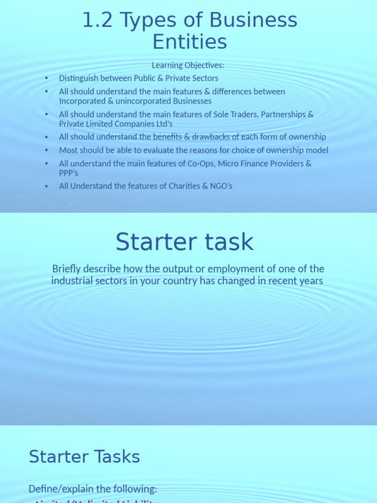 Understanding Business Types and Structures | PDF | Franchising ...