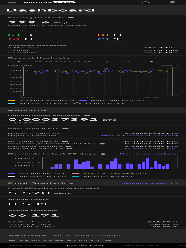 Overview Braiins Pool | PDF