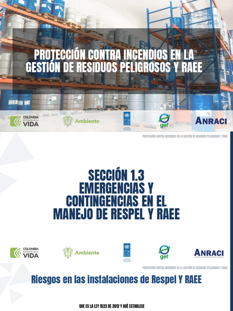 1.3_RESPEL_y_RAEE | PDF | Riesgo | Sustentabilidad