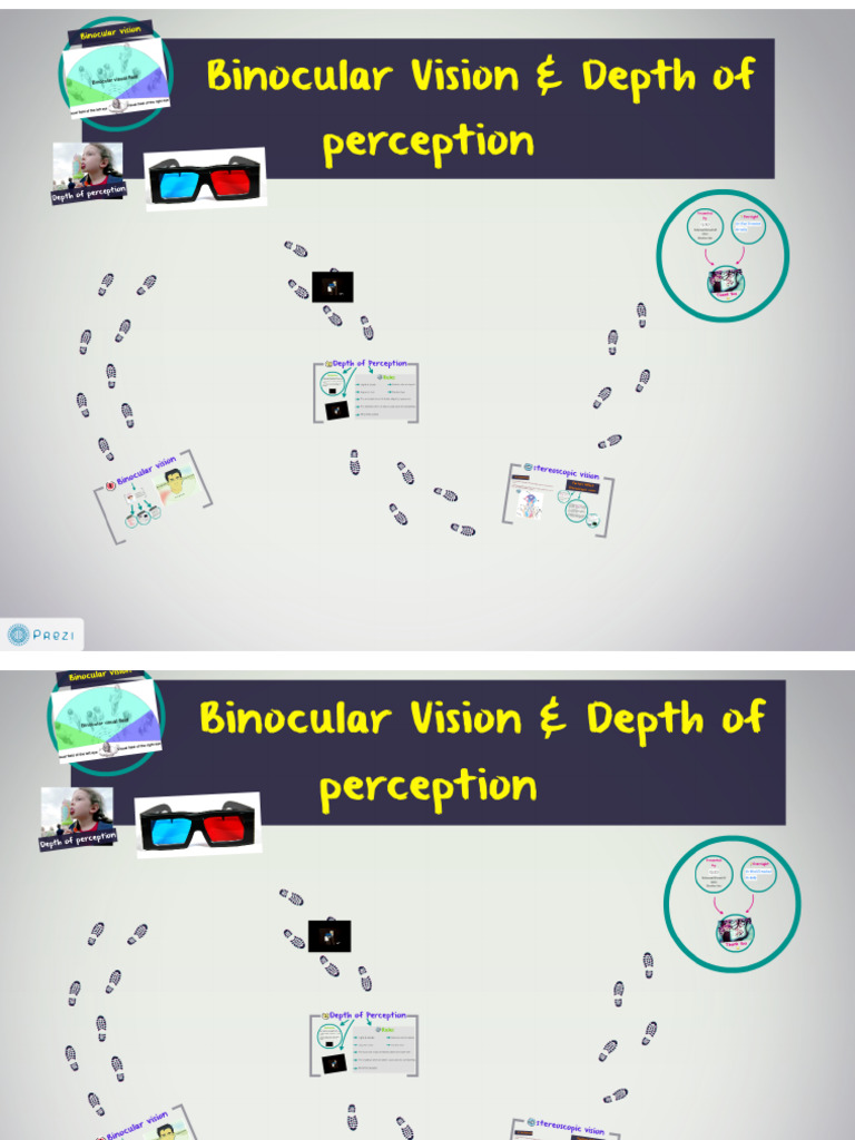 Binocular Vision & Depth. of Perception 2014 | PDF