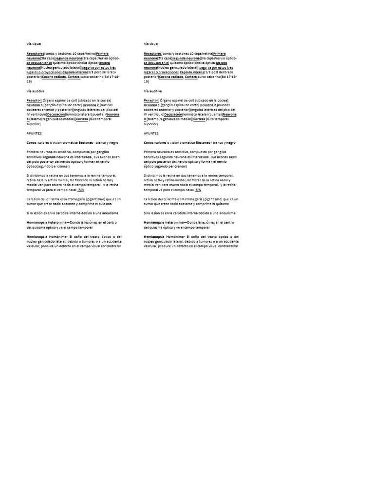Esquema de la Vía Visual | PDF | Percepción visual | Nervio