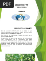 Calendario Maya Del Embarazo | PDF | Relaciones personales, crianza y ...