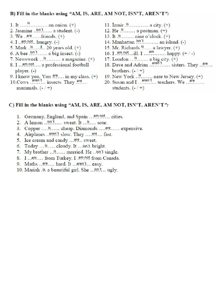 Afirmative Negative | PDF
