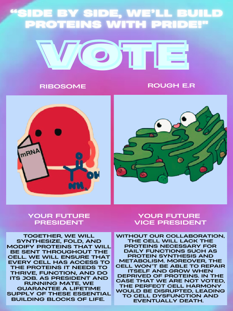 Cell Campaign Poster and Fliers | PDF | Proteins | Ribosome