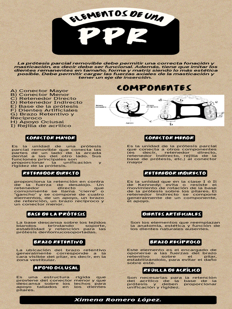 Partes de Una PPR. | PDF | Ramas de Odontología | Odontología