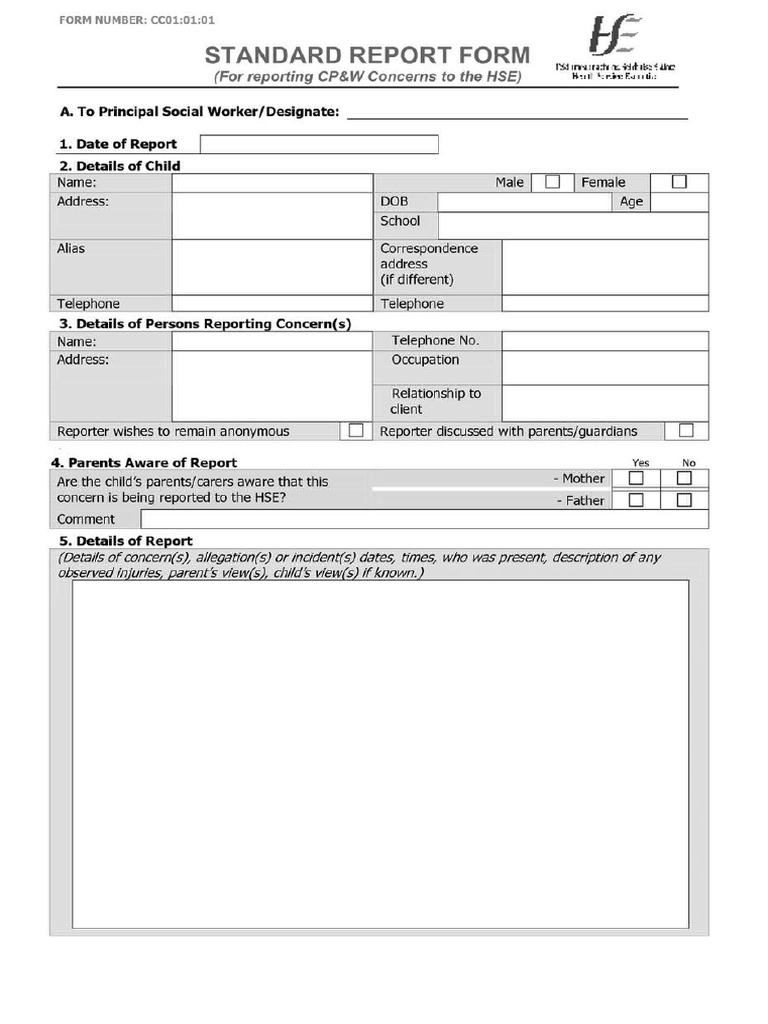 HSe Standard RePort Form | PDF