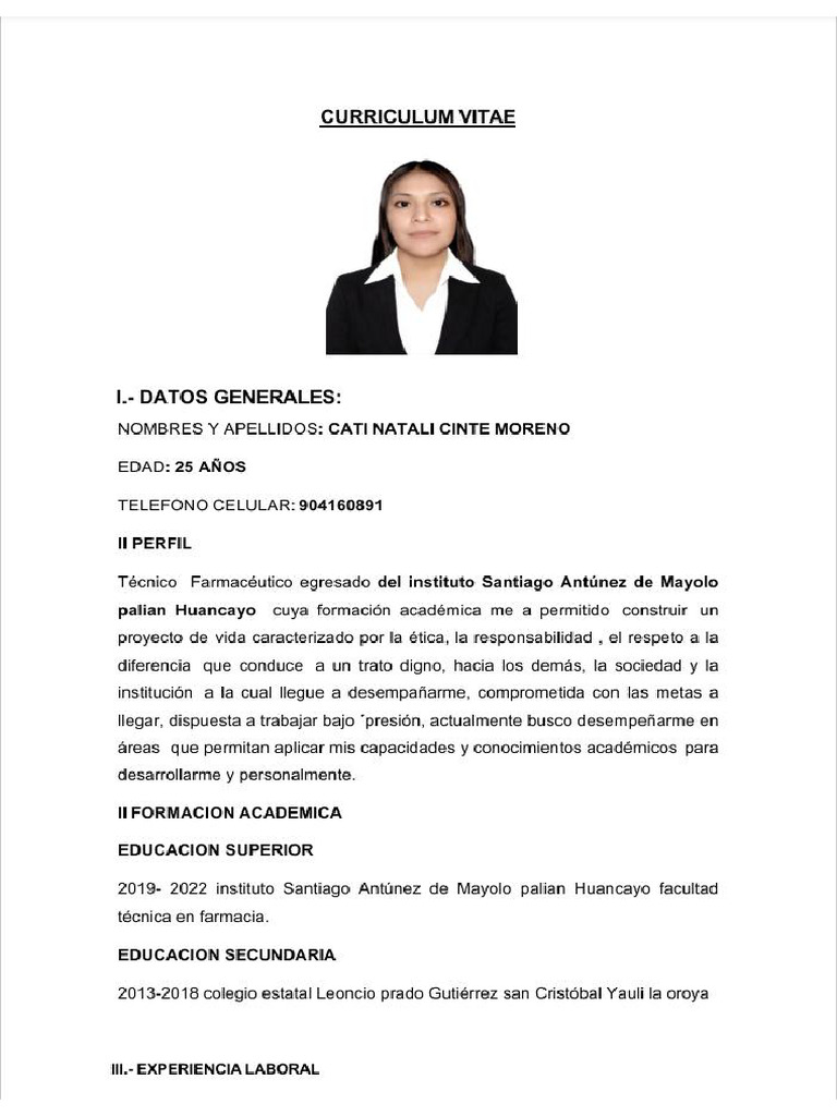 CV Cinte | PDF