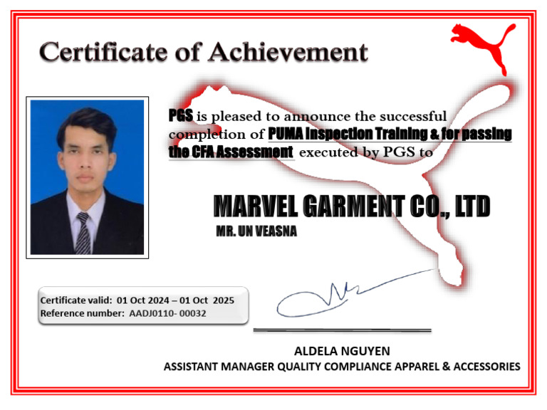 PUMA Inspection Training Certificate | PDF