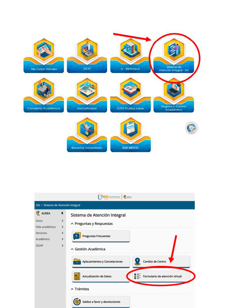 Instructivo formulario de atencion virtual | PDF
