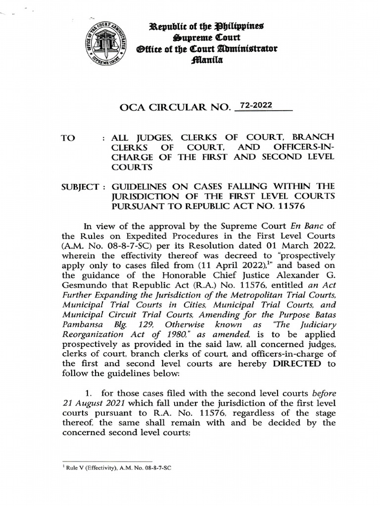Guidelines for First Level Court Cases | PDF | Public Sphere | Law Of ...