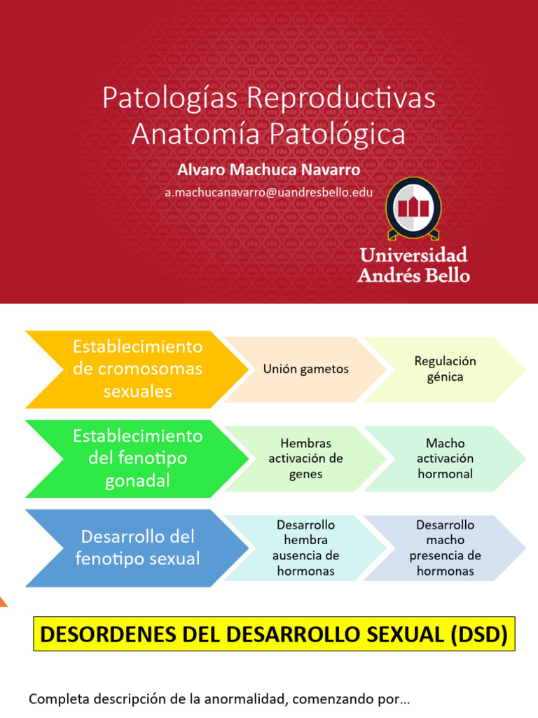 Patologías Reproductivas UNAB 2023 | PDF | Ciencias de la Salud | Enfermedades y trastornos