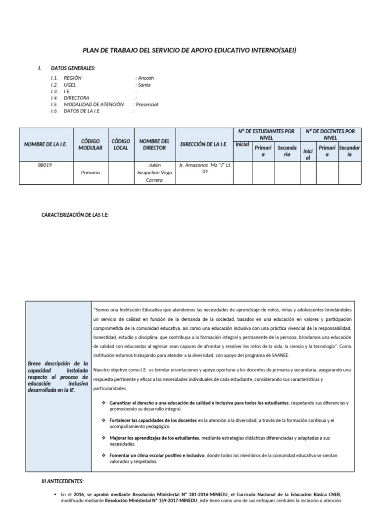 Plan Del Saei - 2025 | PDF | Inclusión (Educación) | Educación primaria
