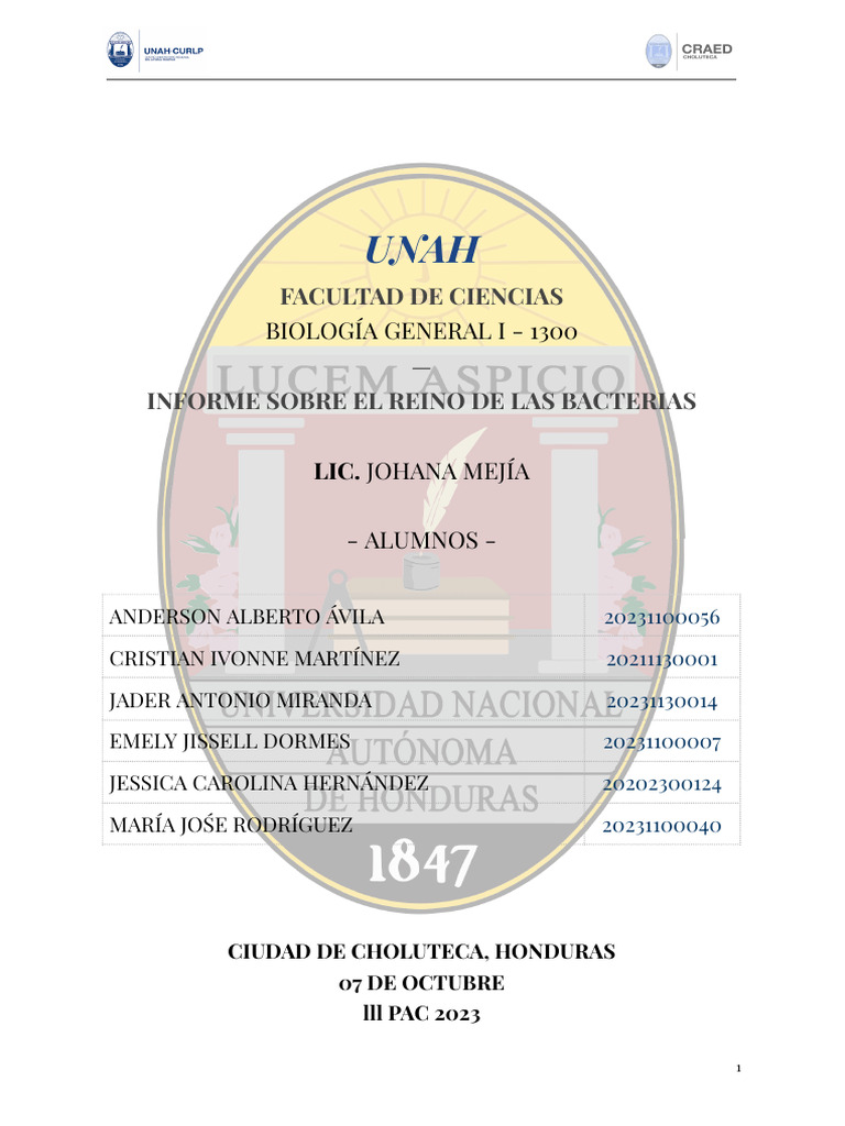 Informe Reino Bacteria - Biología I (Grupo 1) | PDF | Las bacterias | Biología Celular)