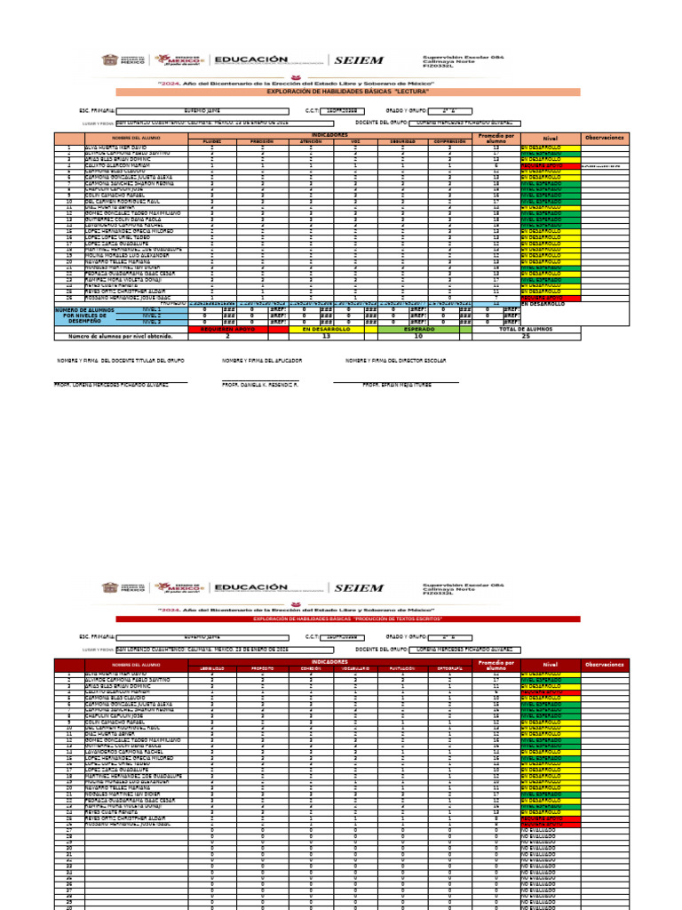 Sisat Enero 2025 | PDF